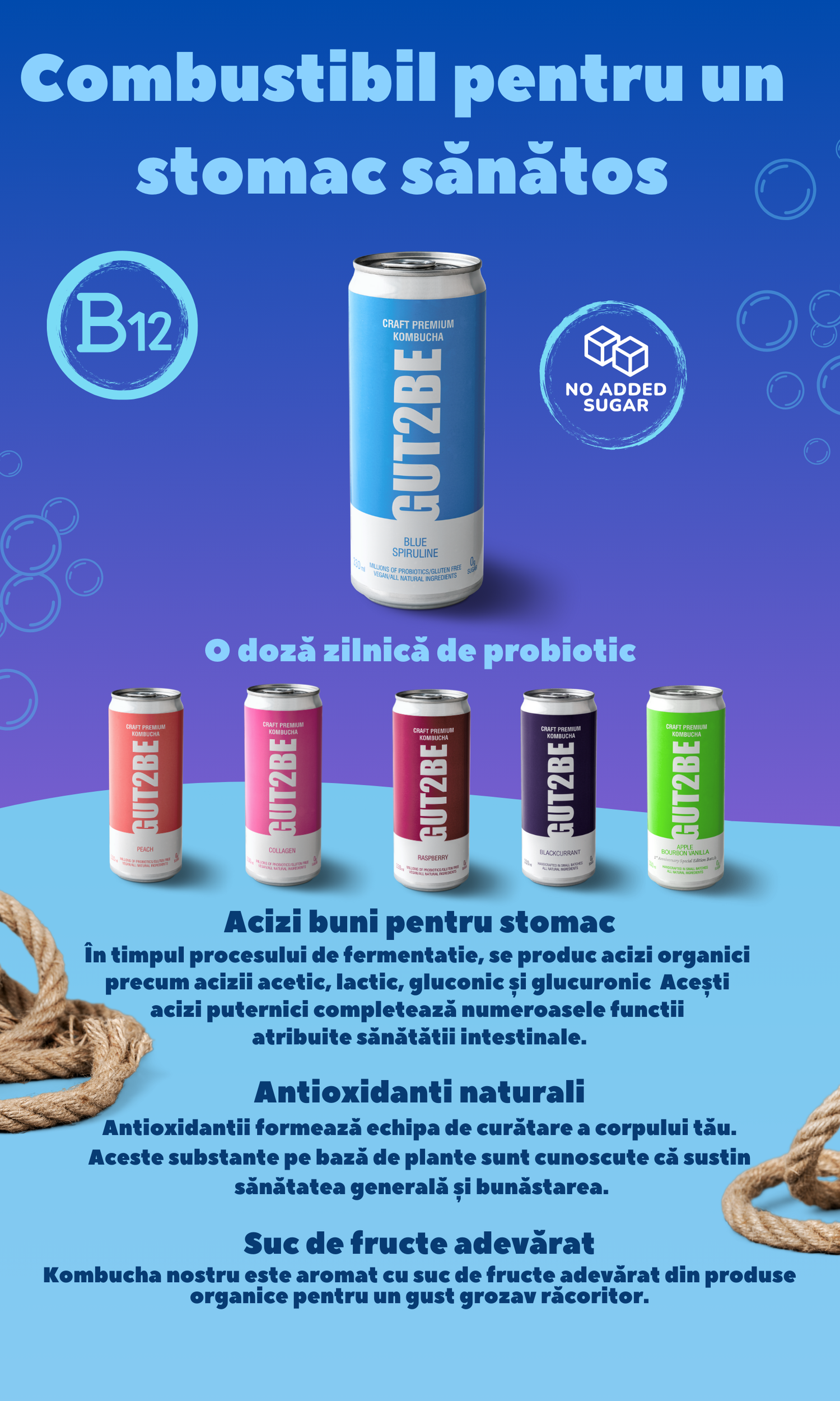 Kombucha Ciupercă GUT2BE - Calitate superioară – Gut2be