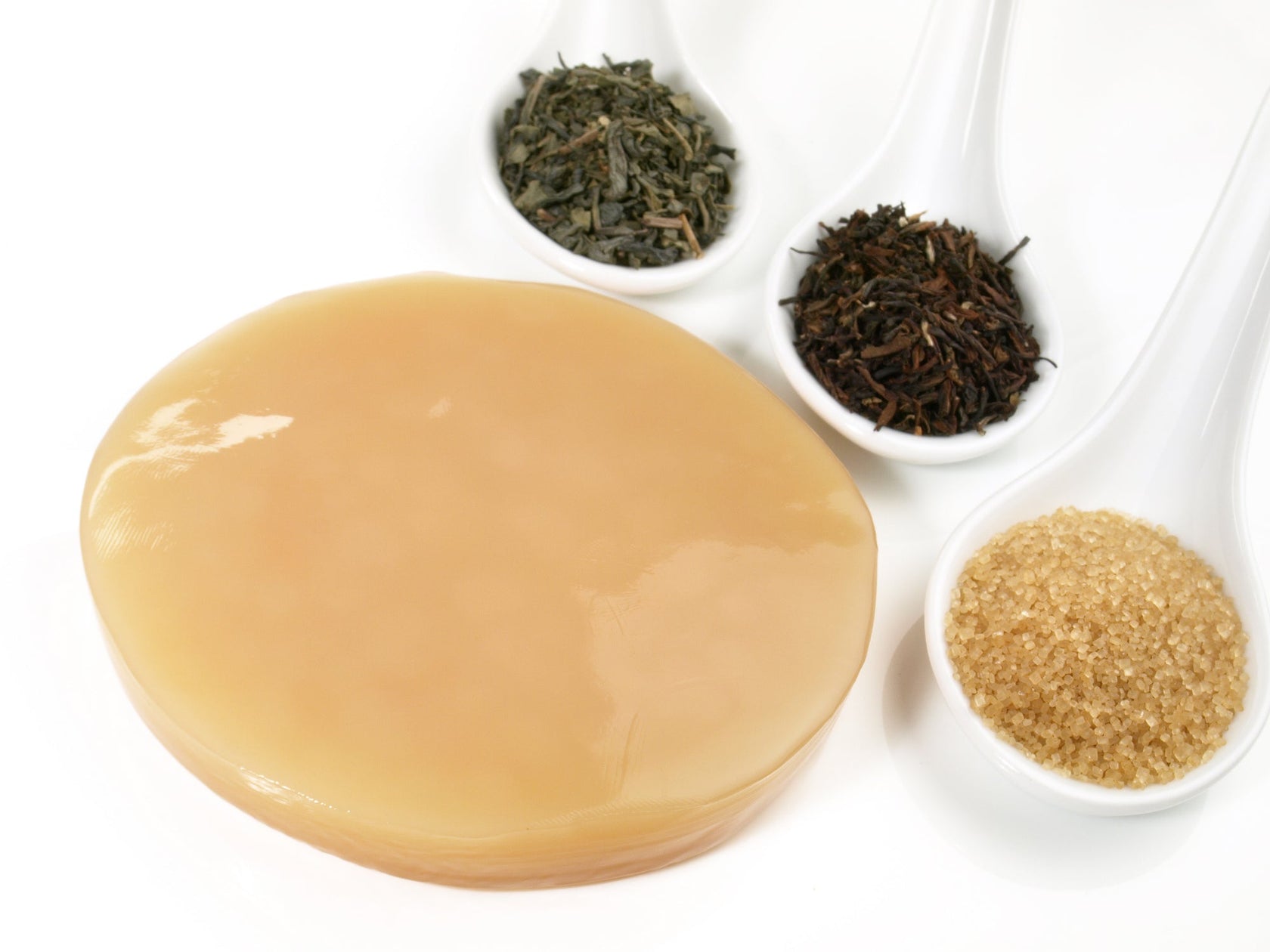 Kombucha Ciupercă GUT2BE - Calitate superioară – Gut2be