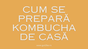 Kombucha Ciupercă GUT2BE - Calitate superioară + Reteta – Kombucha ...