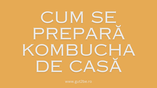 Kombucha Ciupercă GUT2BE - Calitate superioară + Reteta – Kombucha ...